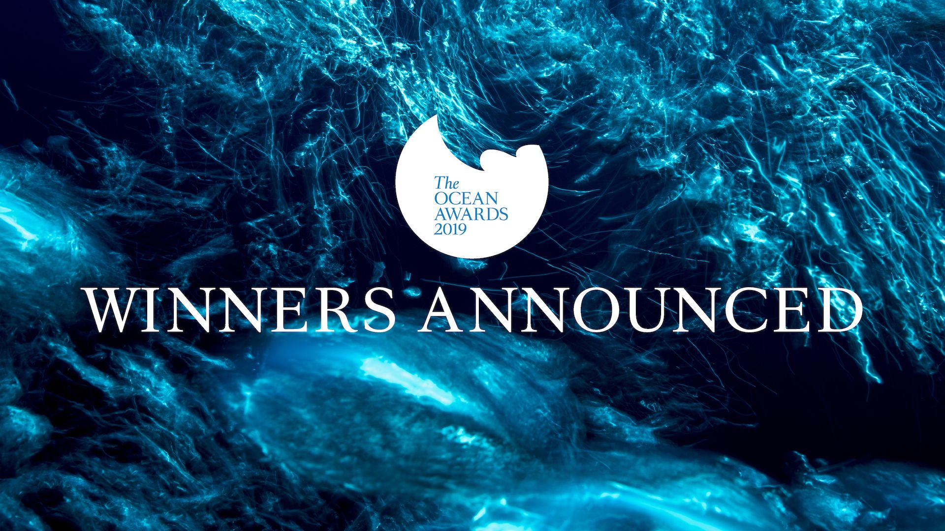 The winners of the Ocean Awards 2019